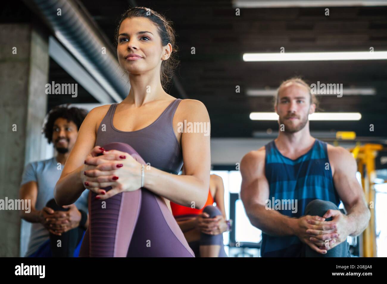 Group of fit people at the gym exercising Stock Photo - Alamy