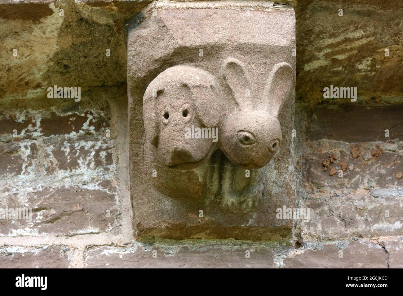 Hound and Hare corbel stone carving St Mary and St David Church Kilpeck ...