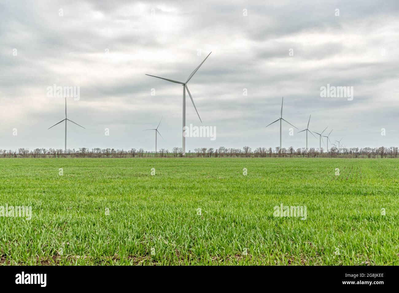 Wind turbines generating electricity in a green field. Green power ...