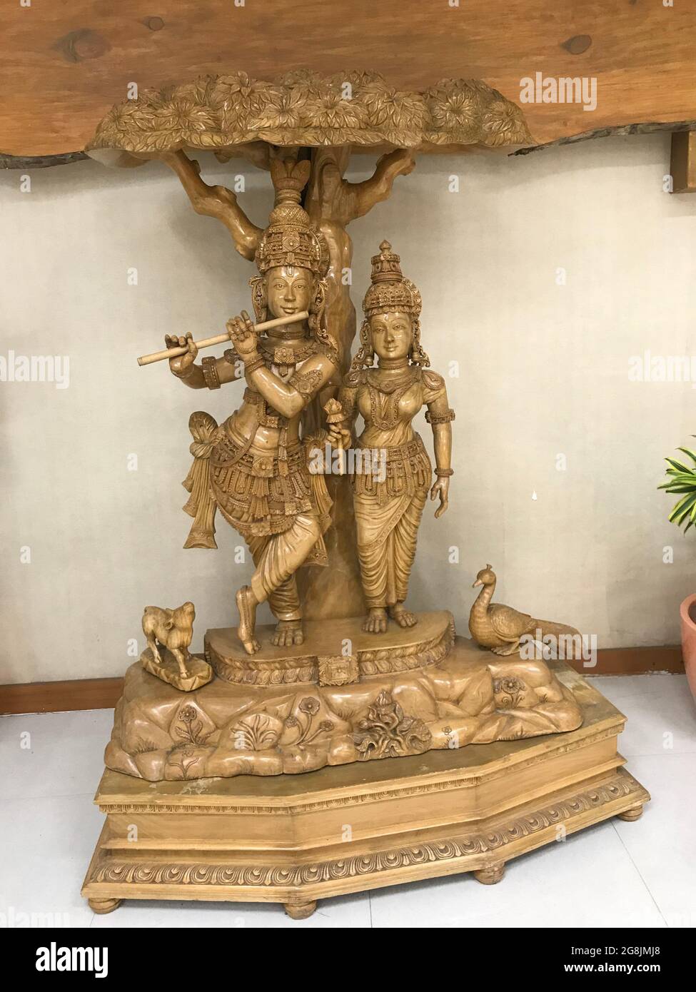 Lord Krishna and His goddess standing statues are kept in holy place of ...