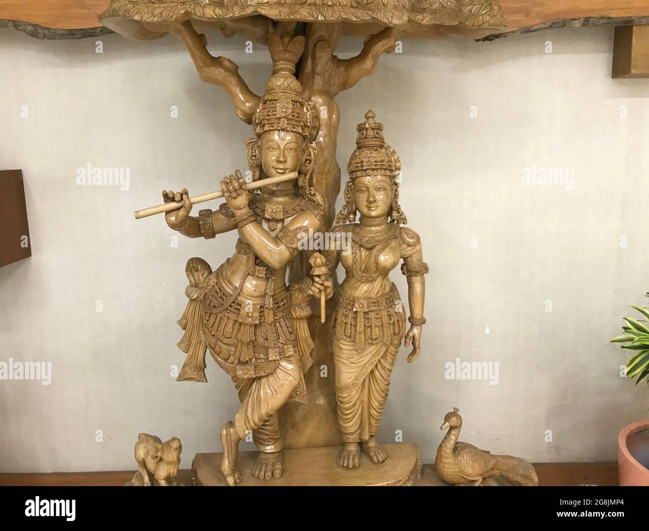 Lord Krishna and His goddess standing statues are kept in holy place of ...