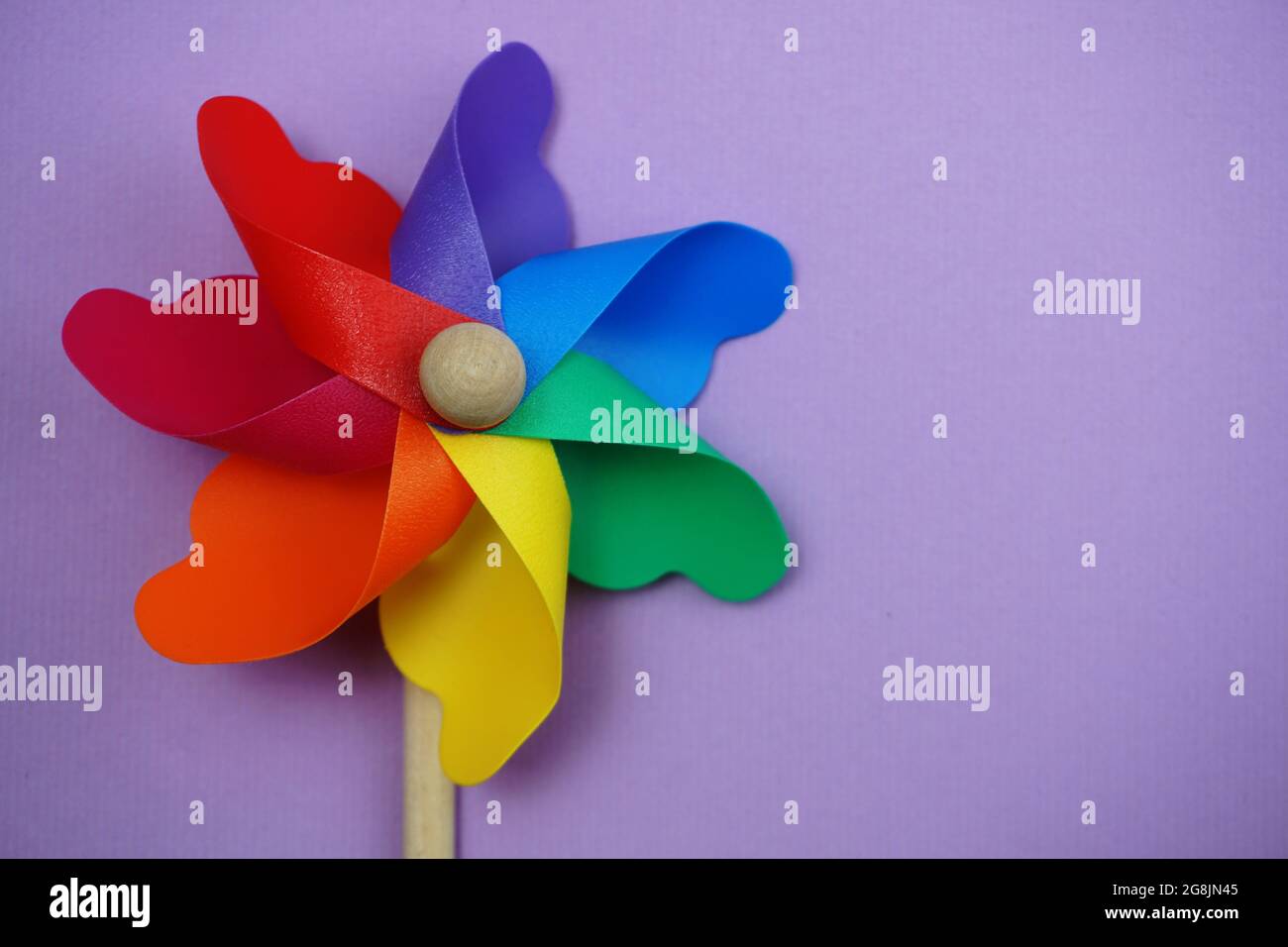colorful pinwheel with space copy isolated on purple background Stock ...