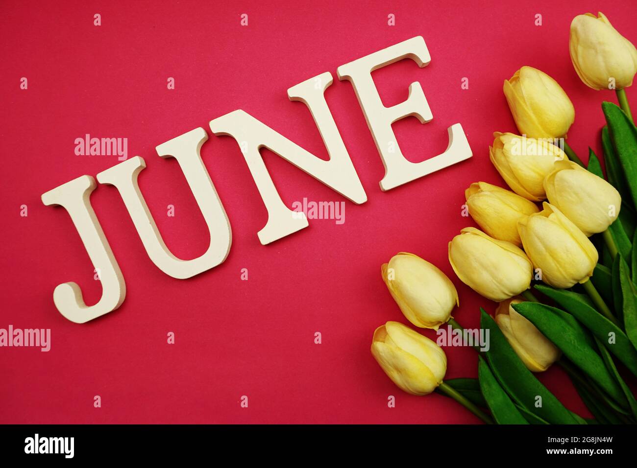 June alphabet letter and tulip flower with space copy on pink ...
