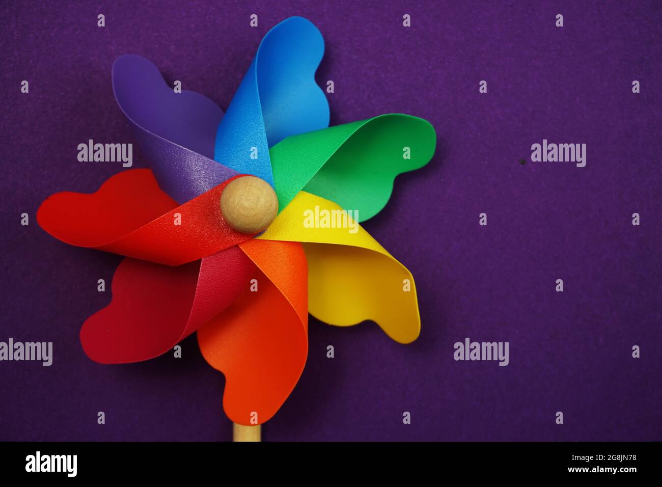 colorful pinwheel with space copy isolated on purple background Stock ...