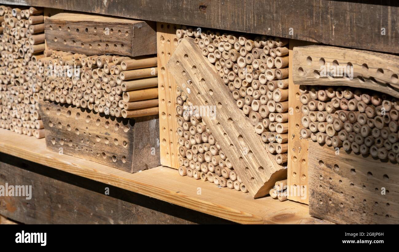 Homemade insect hotel on a wooden shelf Stock Photo - Alamy