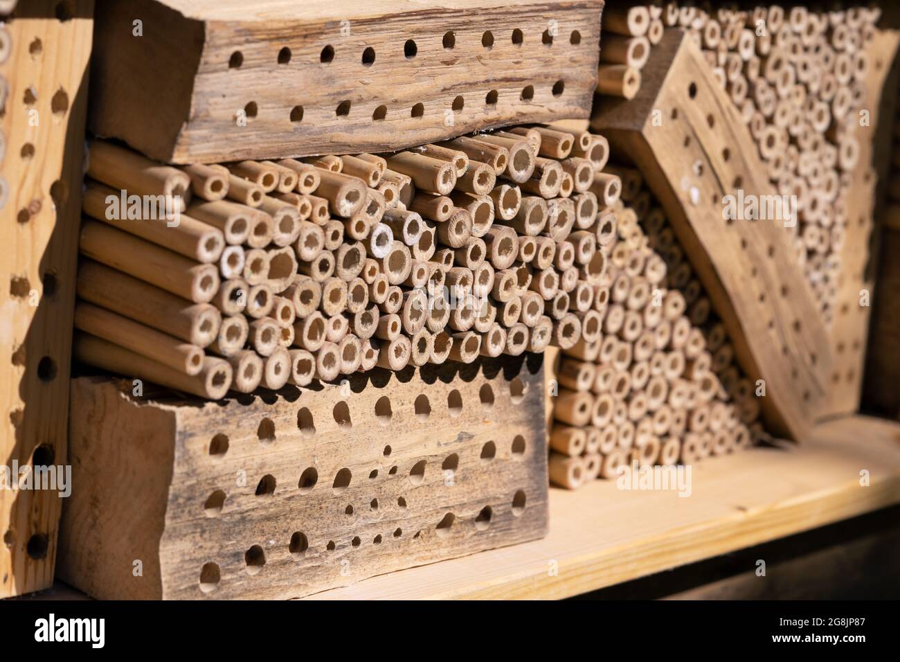 Homemade insect hotel on a wooden shelf Stock Photo - Alamy
