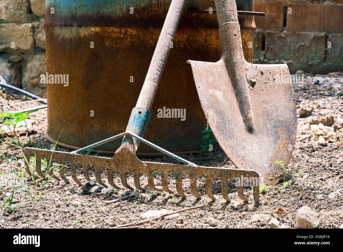 A rusty rake and a shovel for agricultural or gardening works and a ...