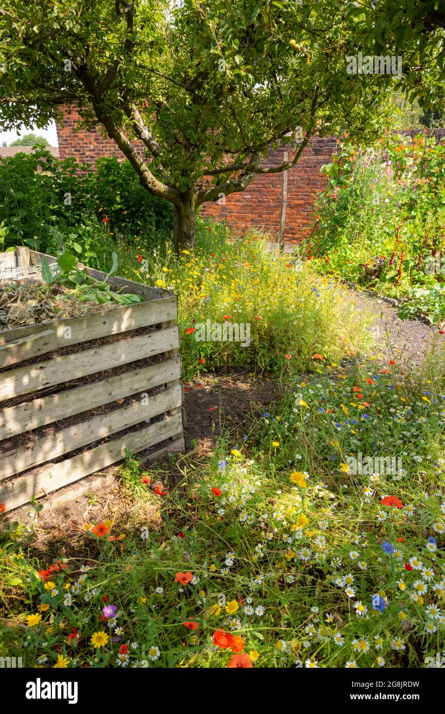 Traditional British vegetable garden growing in summer Stock Photo - Alamy