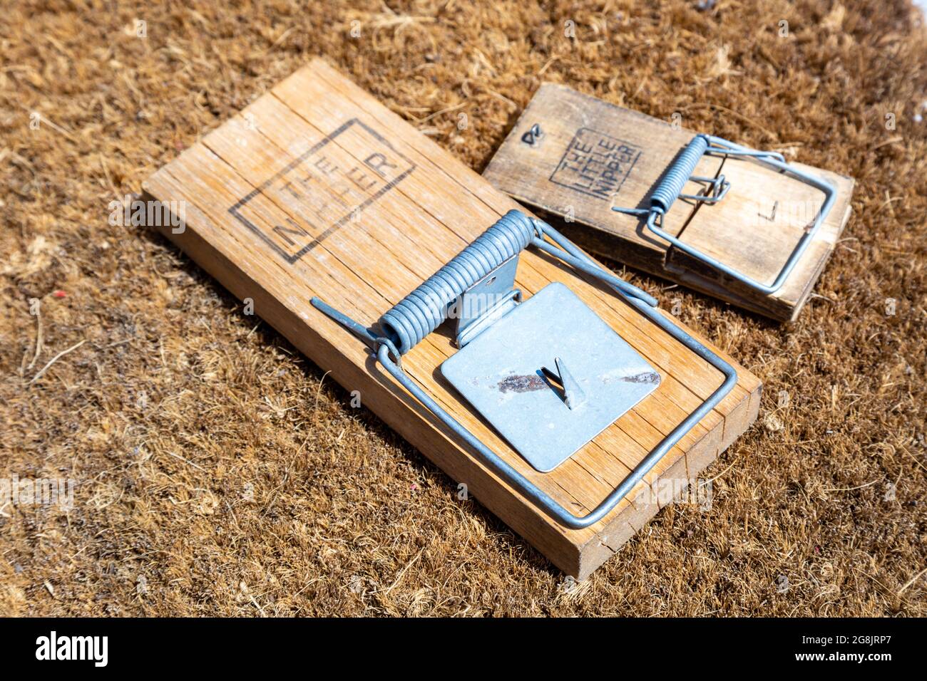 Vintage traditional rat trap, spring operated Stock Photo - Alamy