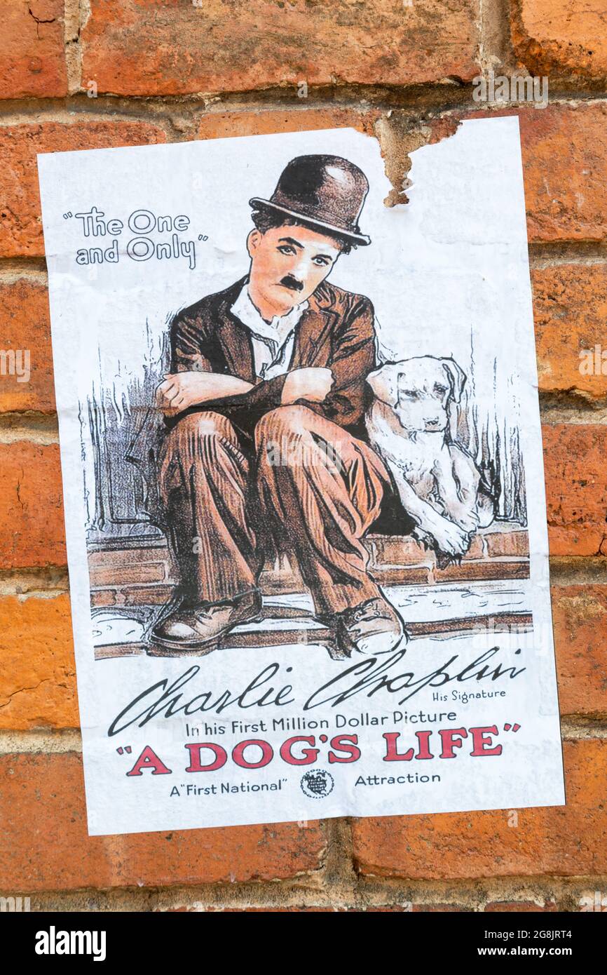 Old movie poster advertising A Dog's Life a film starring Charlie ...