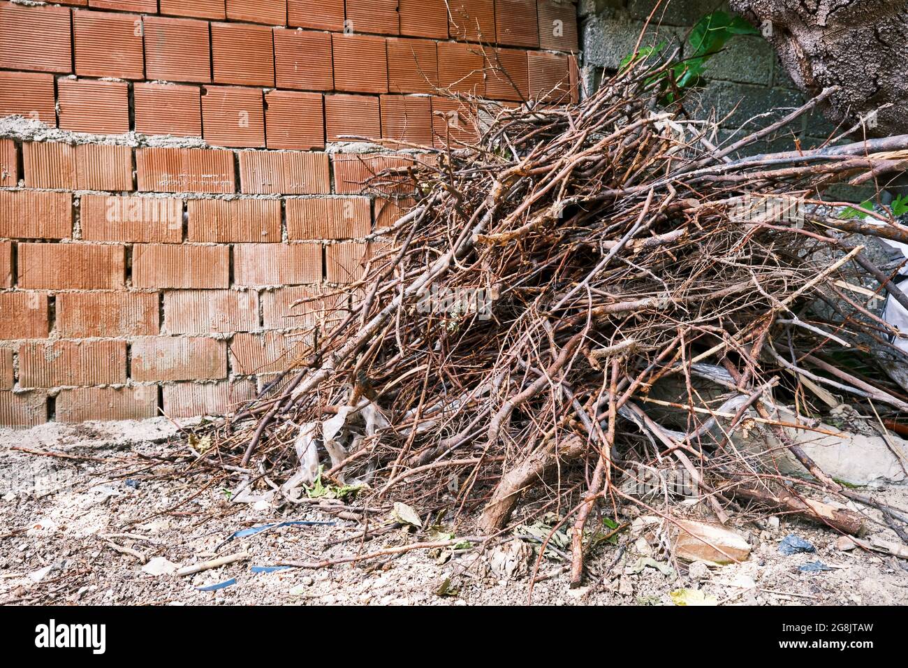 Pile of brushwood hi-res stock photography and images - Alamy