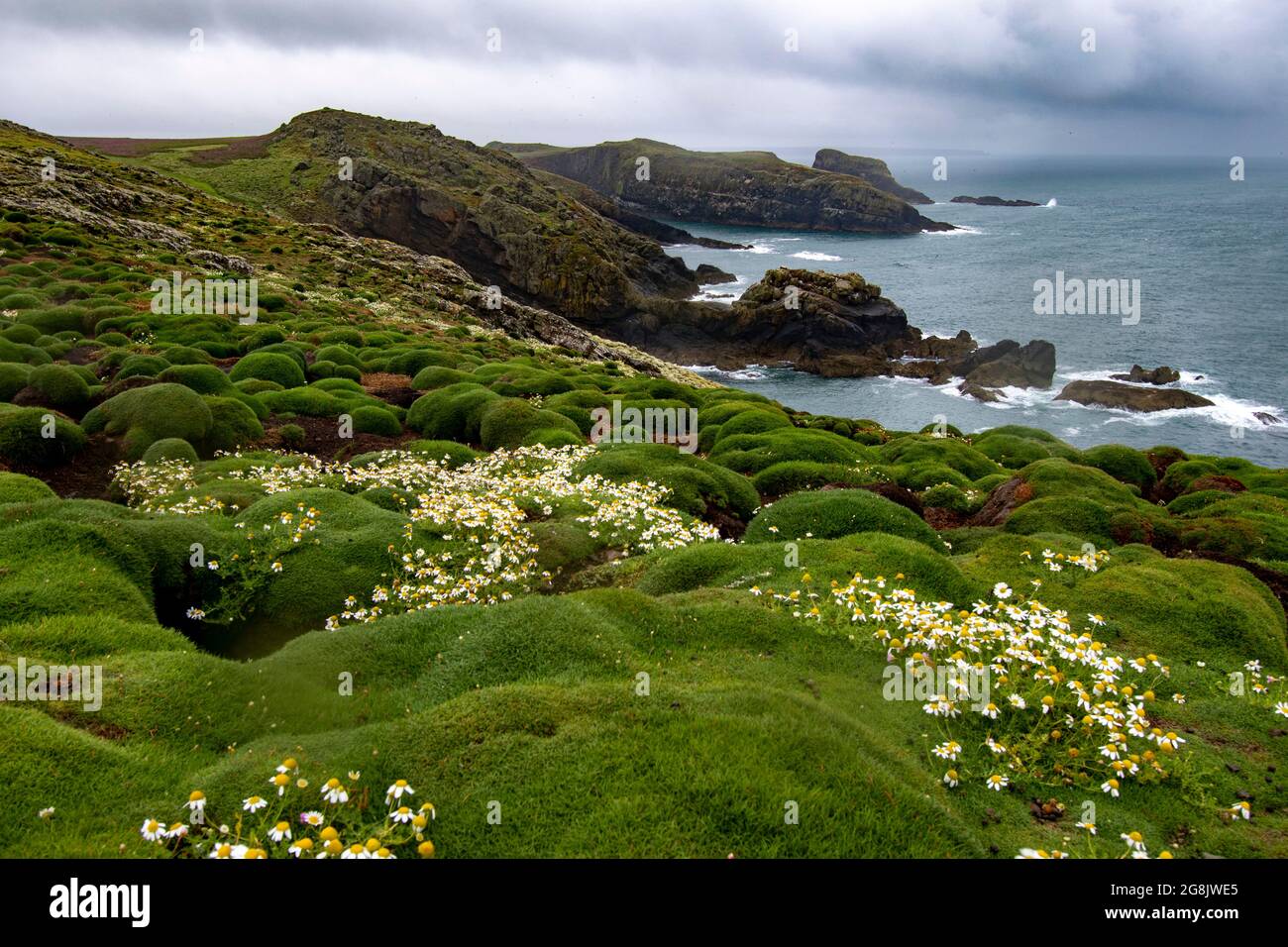 Coastal view on island of Skomer in Pembrokeshire Coastal view on ...
