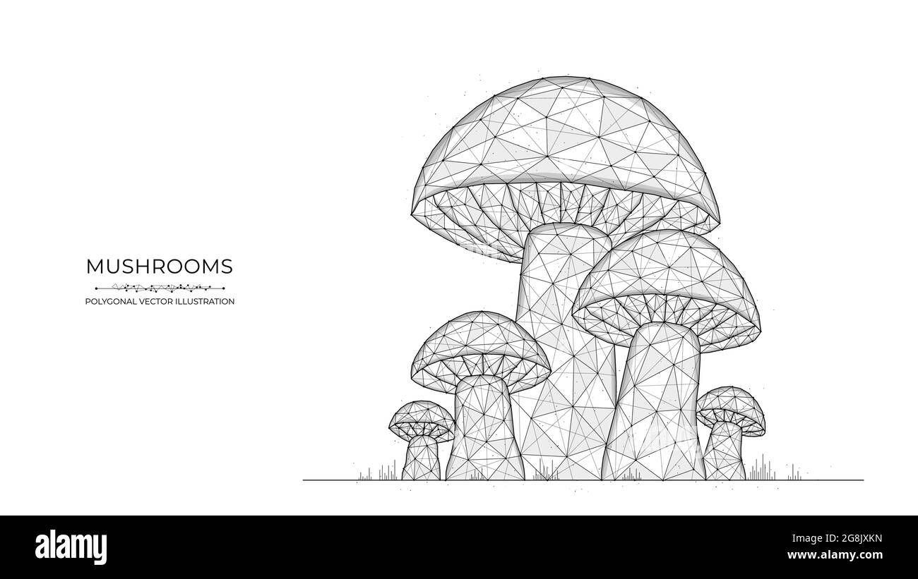 Polygonal vector illustration of mushrooms on a white background ...
