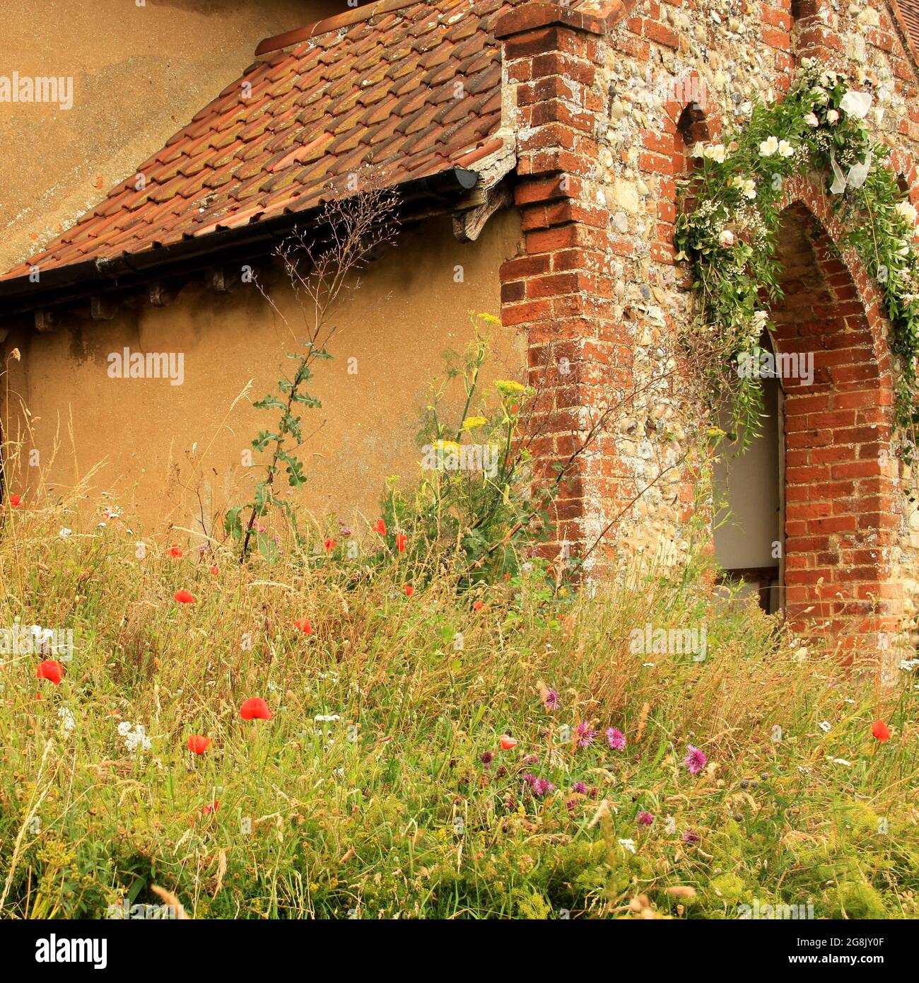 Churchyard wild flowers hi-res stock photography and images - Alamy