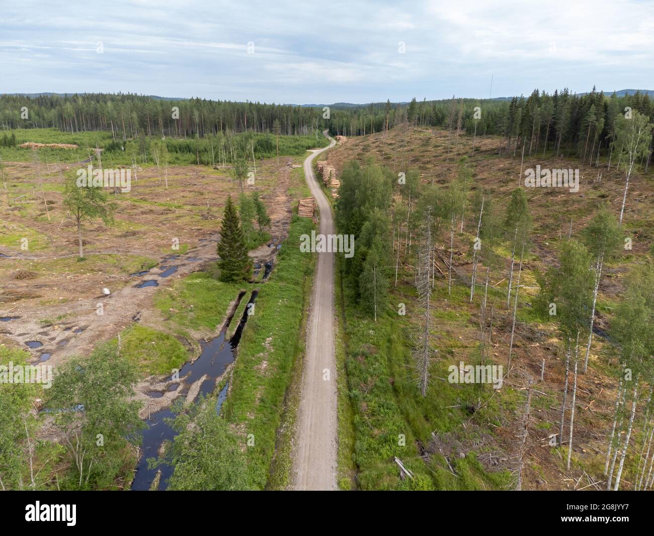 Drone shot of newly cut down forest, deforestation Stock Photo - Alamy