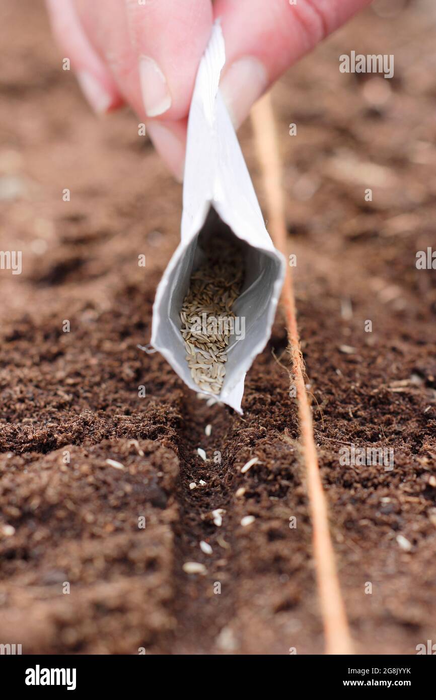 Sowing seed drill hi-res stock photography and images - Alamy