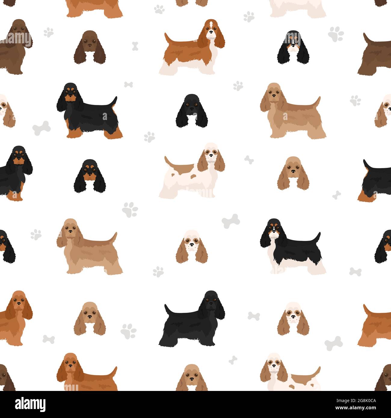 American cocker spaniel all colours clipart. Different coat colors set ...