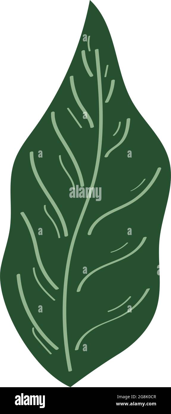 forest leaf illustration Stock Vector Image & Art - Alamy