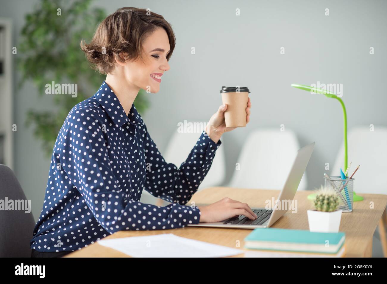 Profile side view portrait of attractive cheerful focused girl expert ...