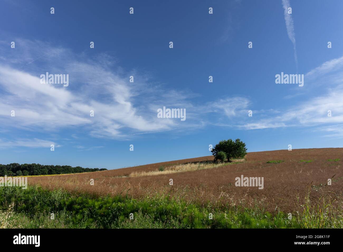 Paesaggio di campagna Stock Photo - Alamy