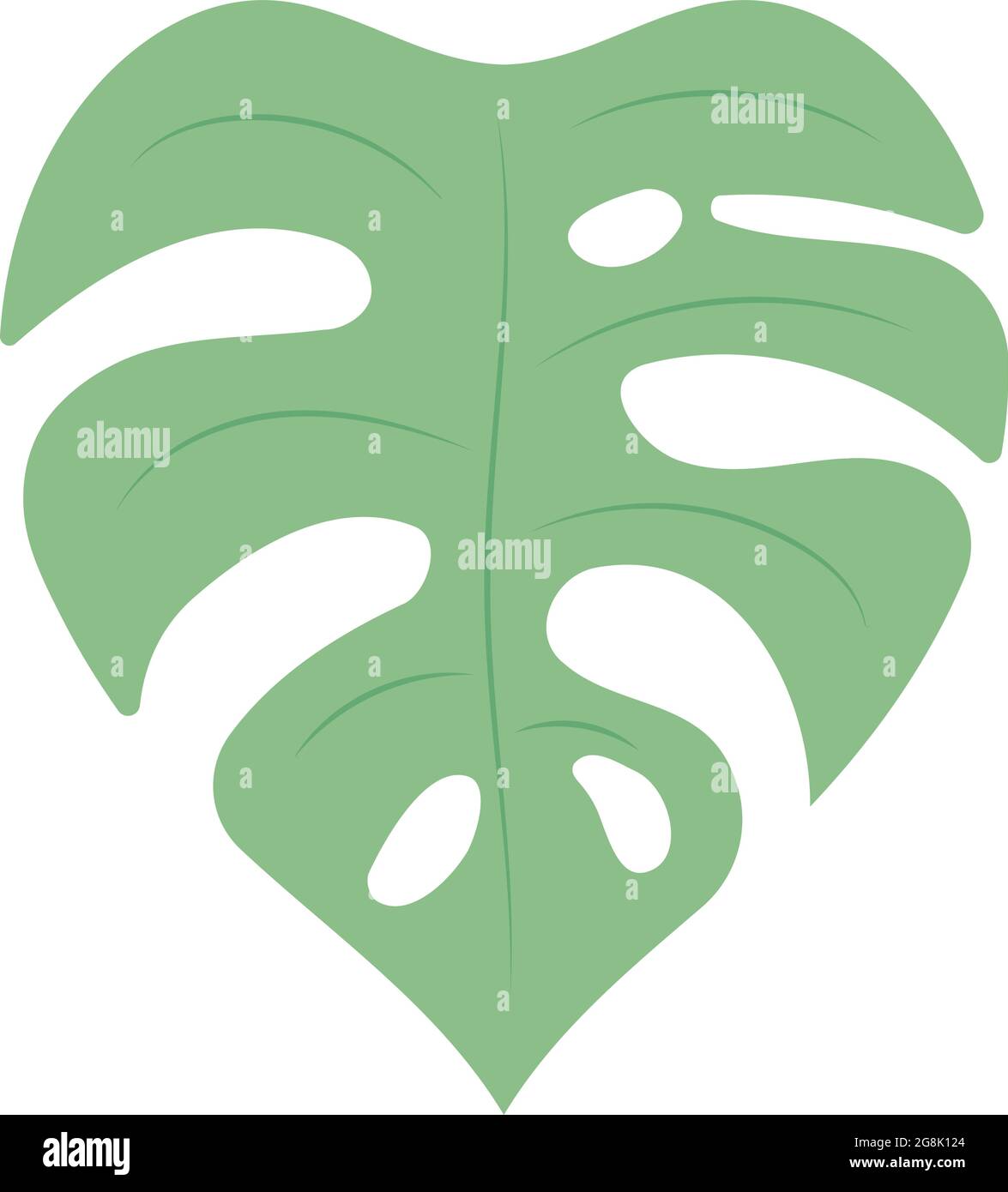 green monstera design Stock Vector Image & Art - Alamy