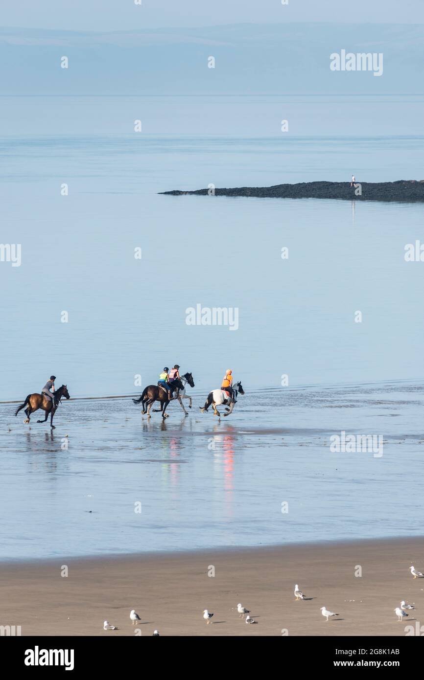 Galloping on a beach hi-res stock photography and images - Alamy