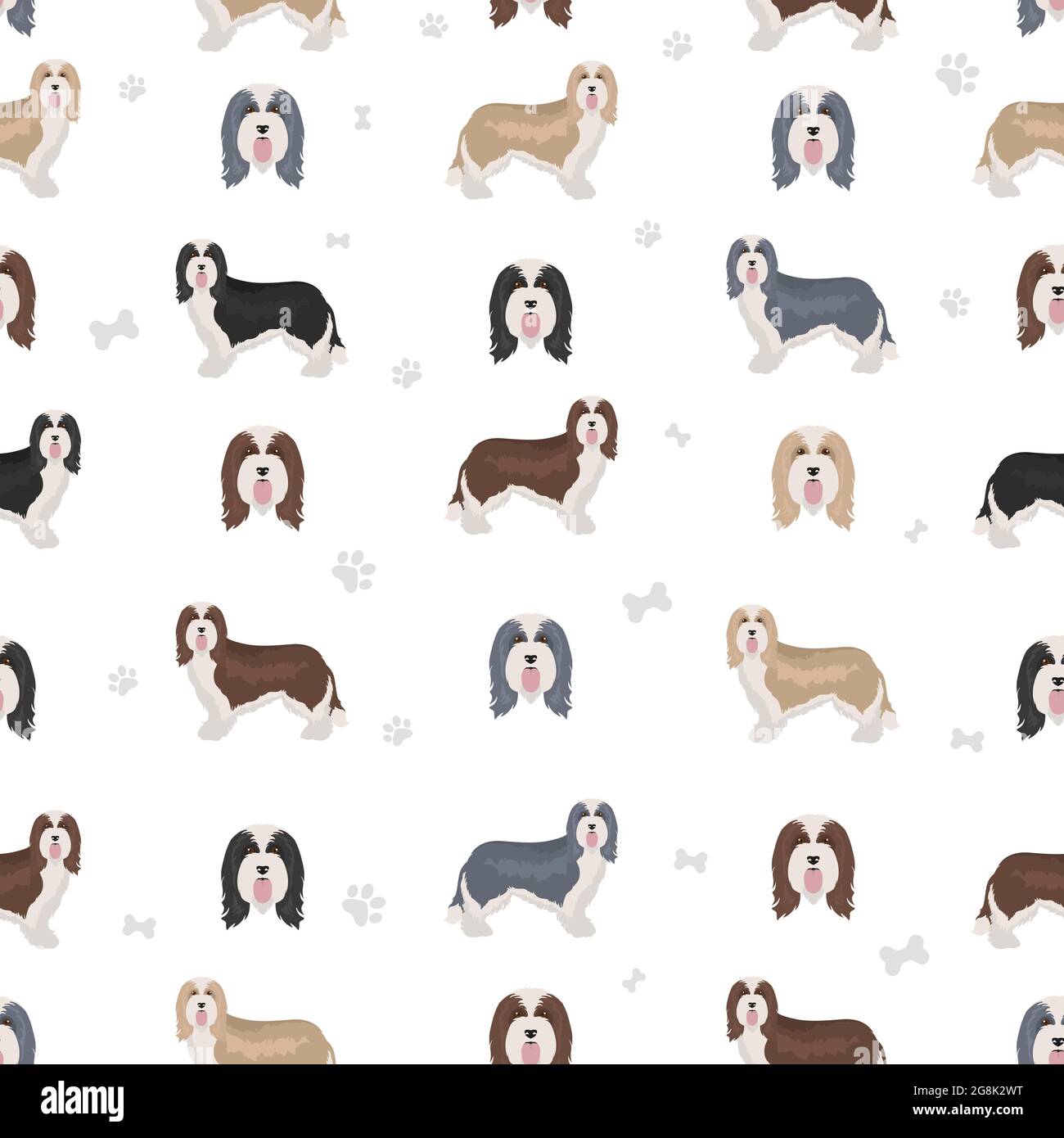Bearded collie seamless pattern. Different coat colors and poses set ...