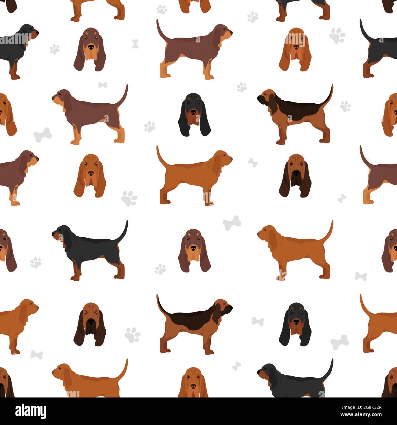 Bloodhound seamless pattern. Different coat colors and poses set ...