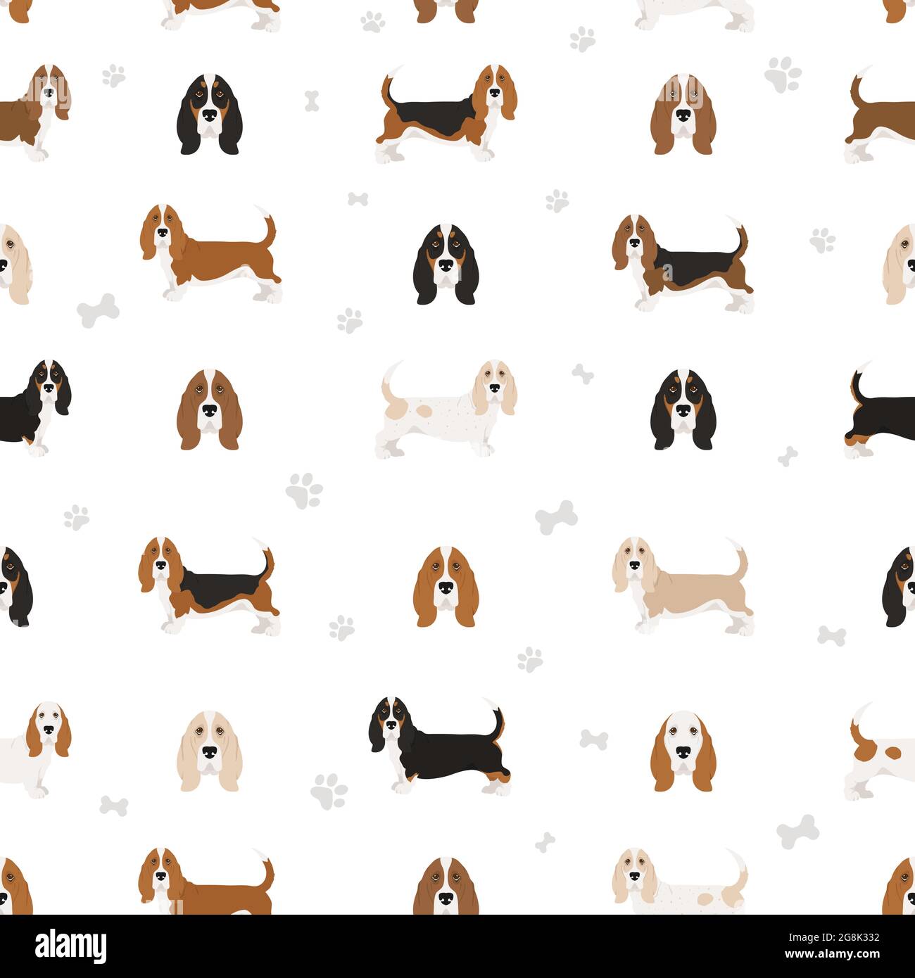 Basset hound seamess pattern. Different coat colors and poses set ...