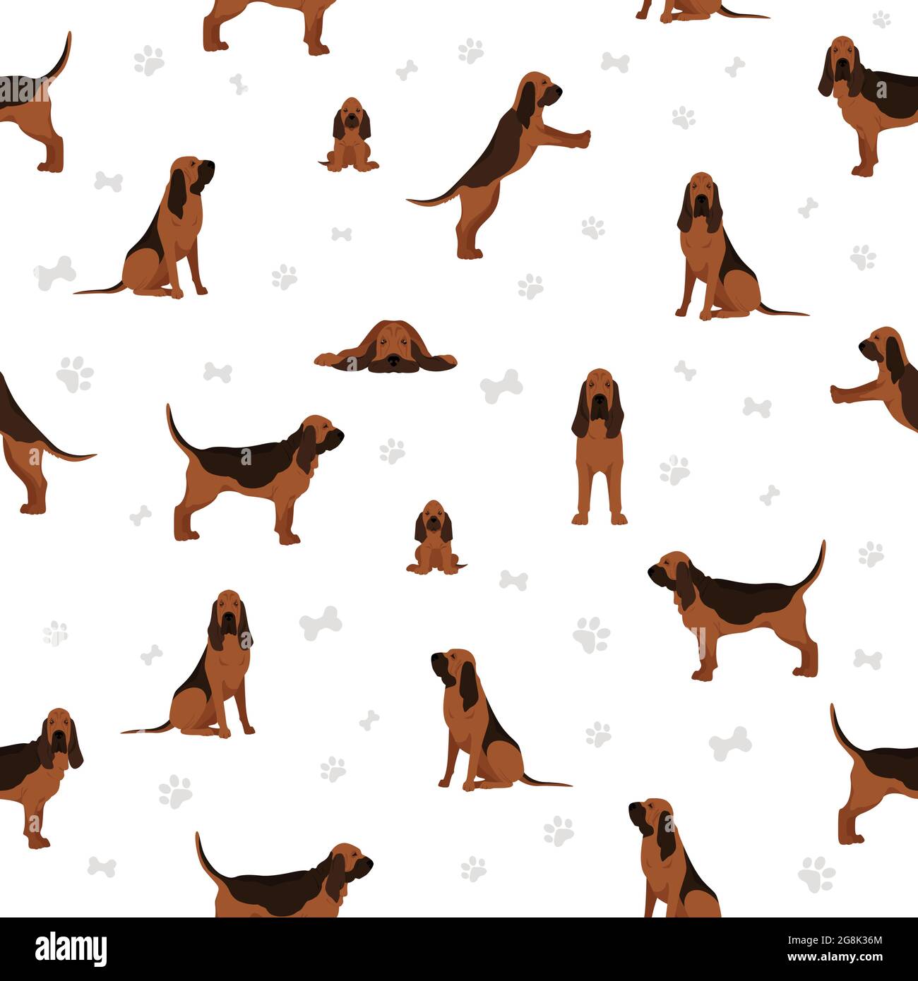Bloodhound seamless pattern. Different coat colors and poses set ...
