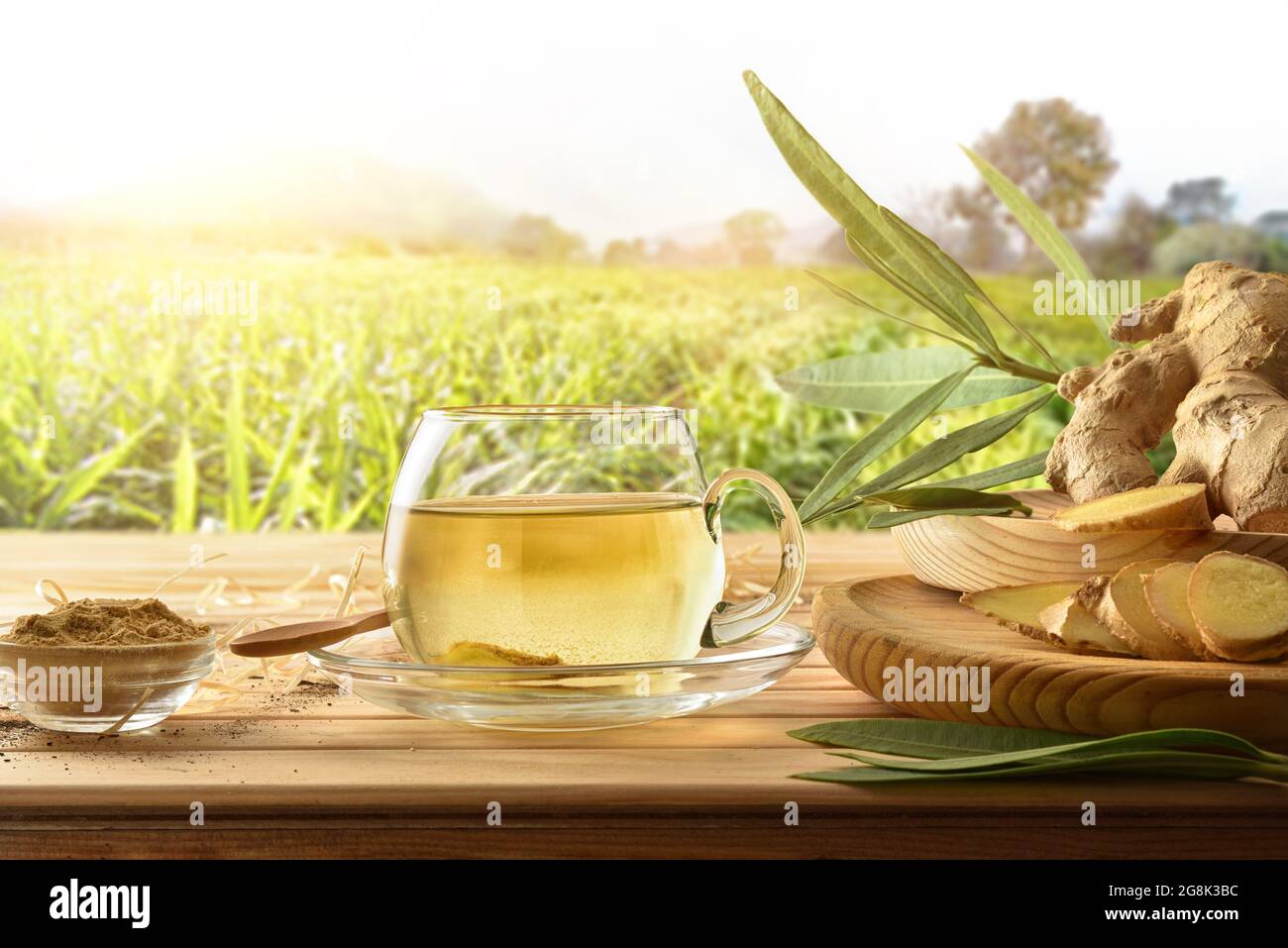 Organic ginger infusion on wooden table in the field with root ginger ...