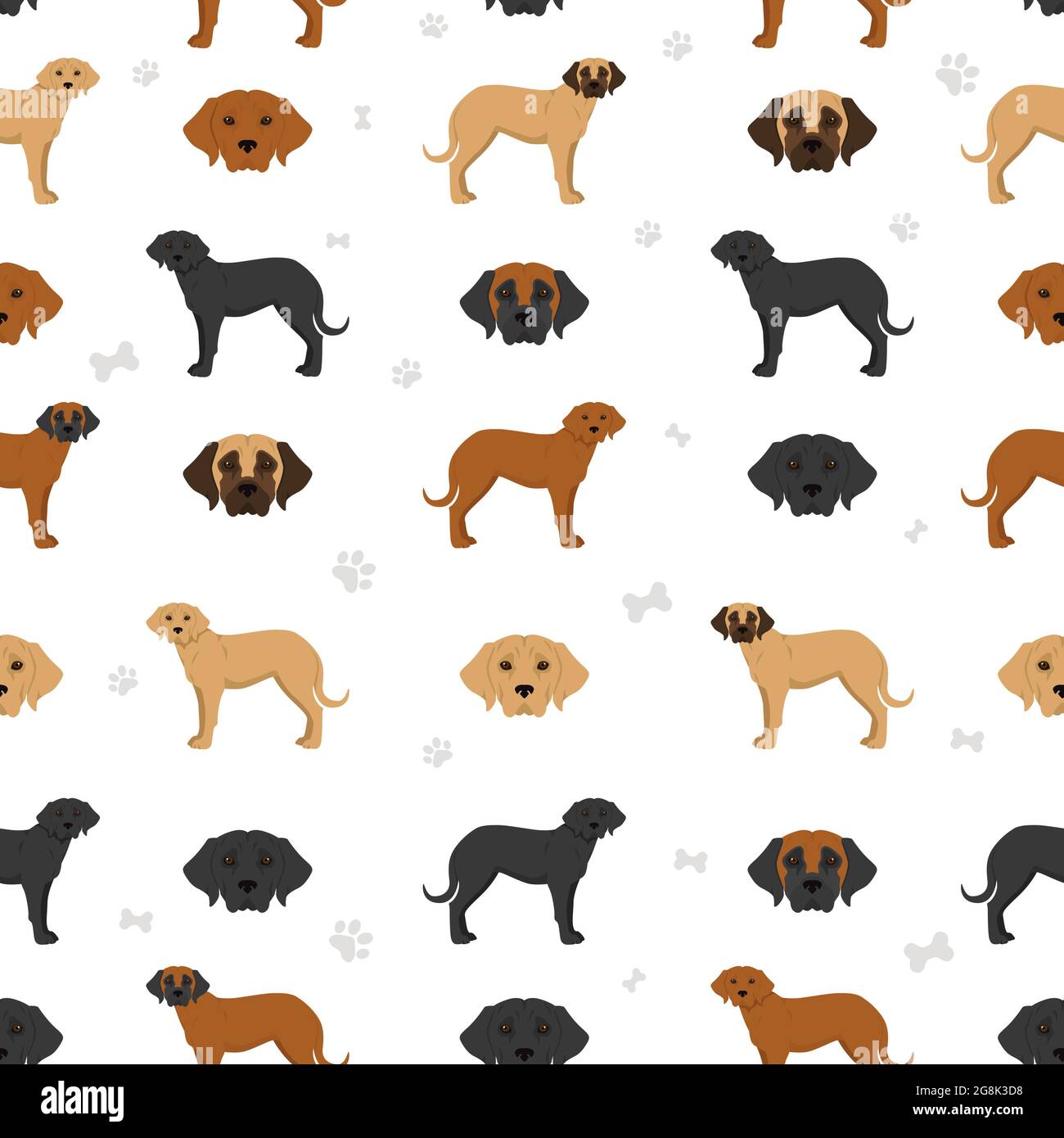 Broholmer seamless pattern. Different coat colors and poses set. Vector ...