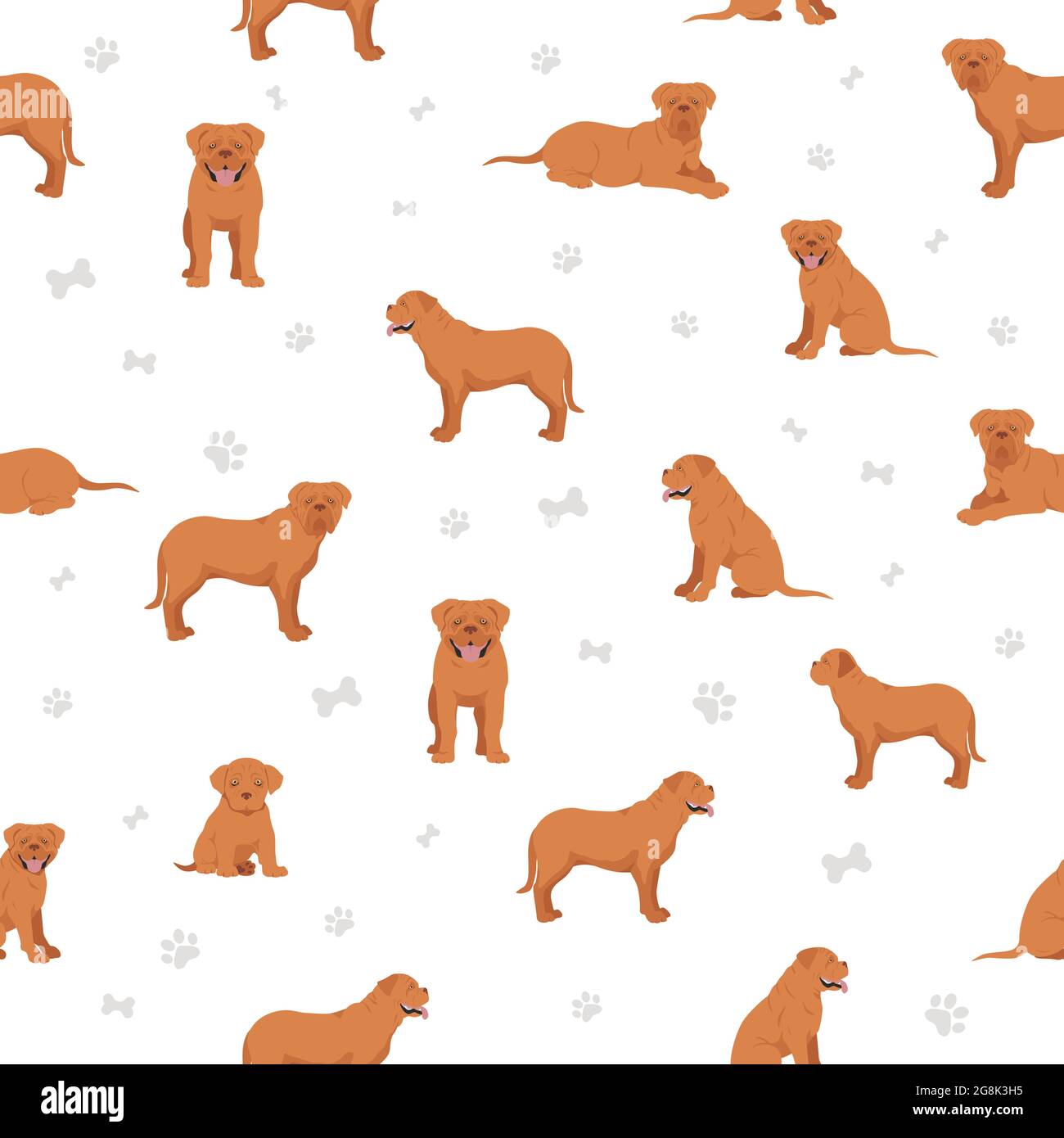 Bordeaux mastiff seamless pattern. Different coat colors and poses set ...