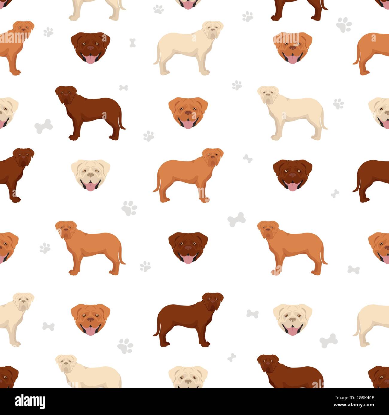 Bordeaux mastiff seamless pattern. Different coat colors and poses set ...