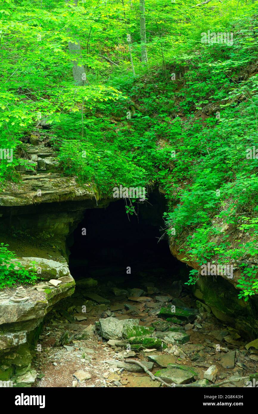 Twin Caves entry, Spring Mill State Park, Indiana Stock Photo - Alamy