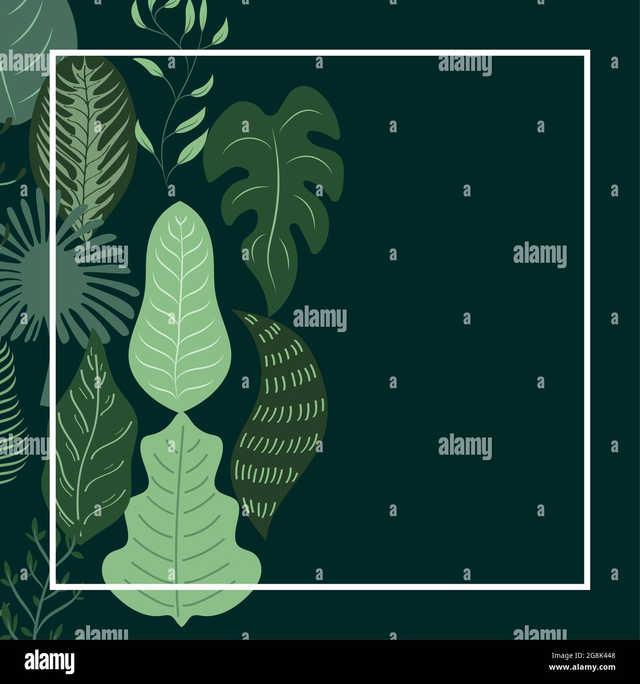 leaves square frame Stock Vector Image & Art - Alamy