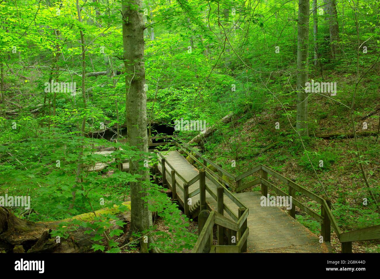 Bronson Cave stairs to entrance, Spring Mill State Park, Indiana Stock ...