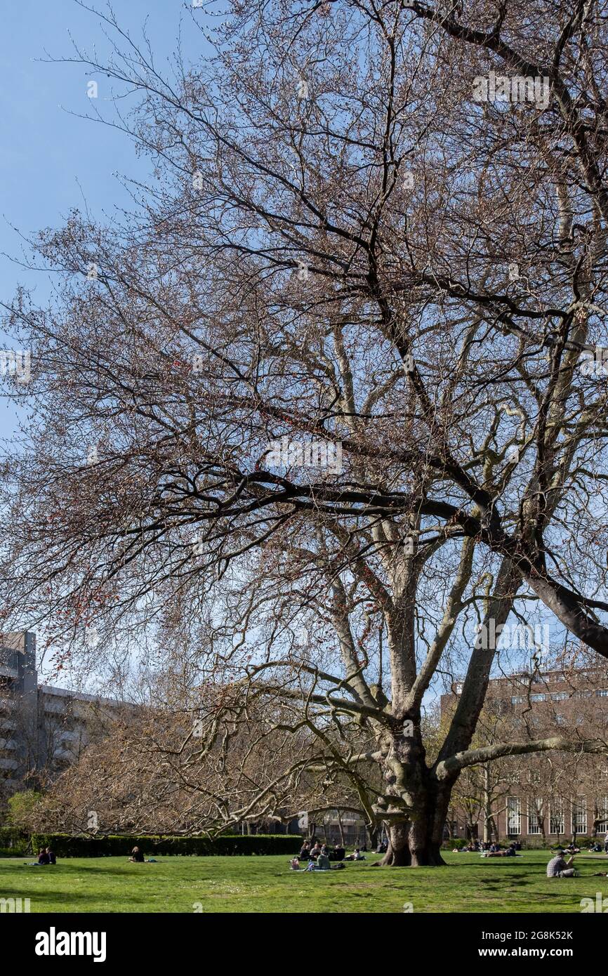 Brunswick square london hi-res stock photography and images - Alamy