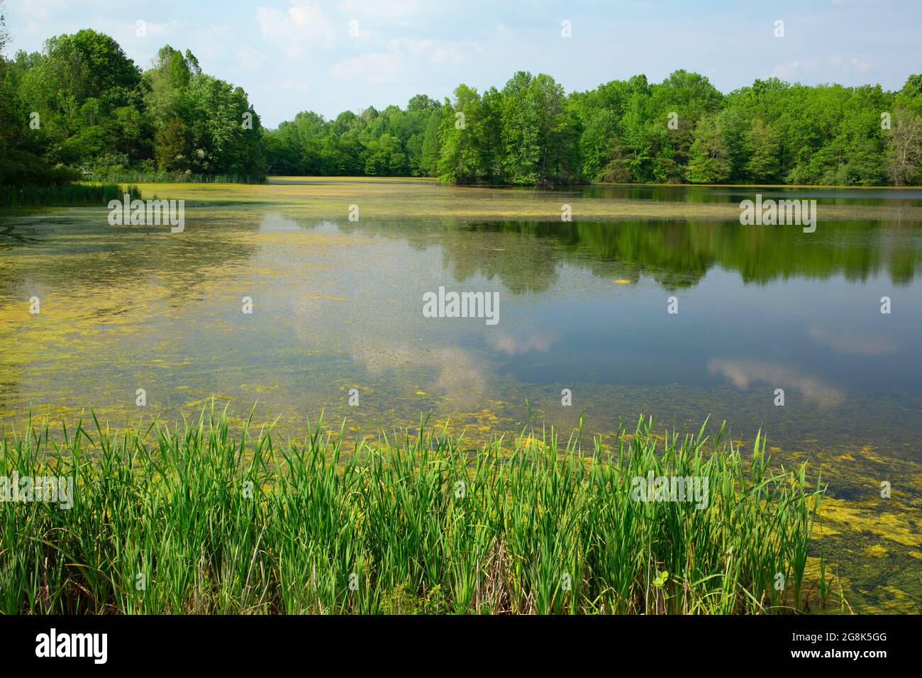 Stanfield lake hi-res stock photography and images - Alamy