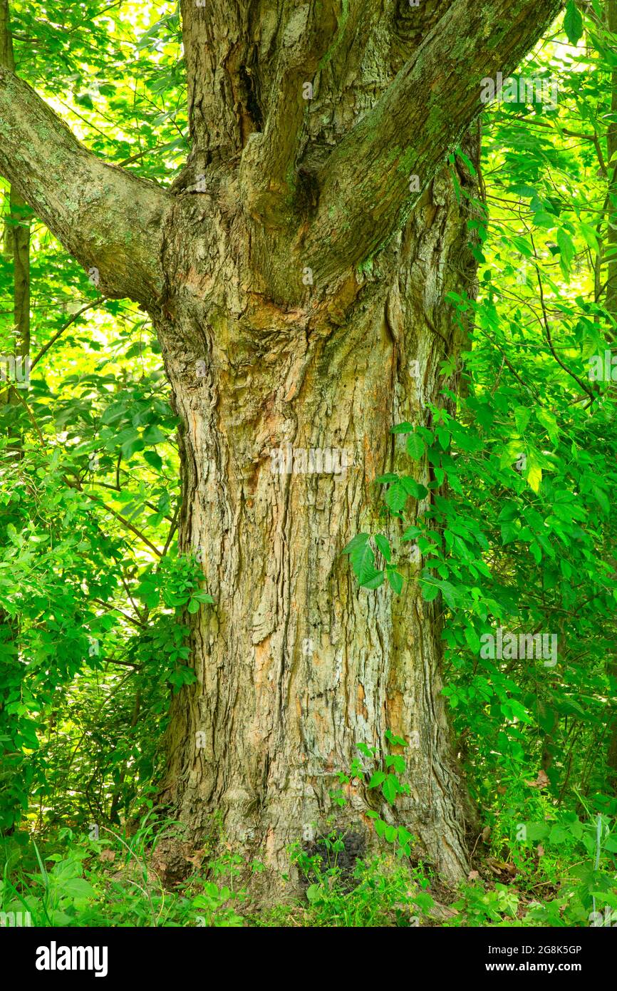 Ancient refuge hi-res stock photography and images - Alamy