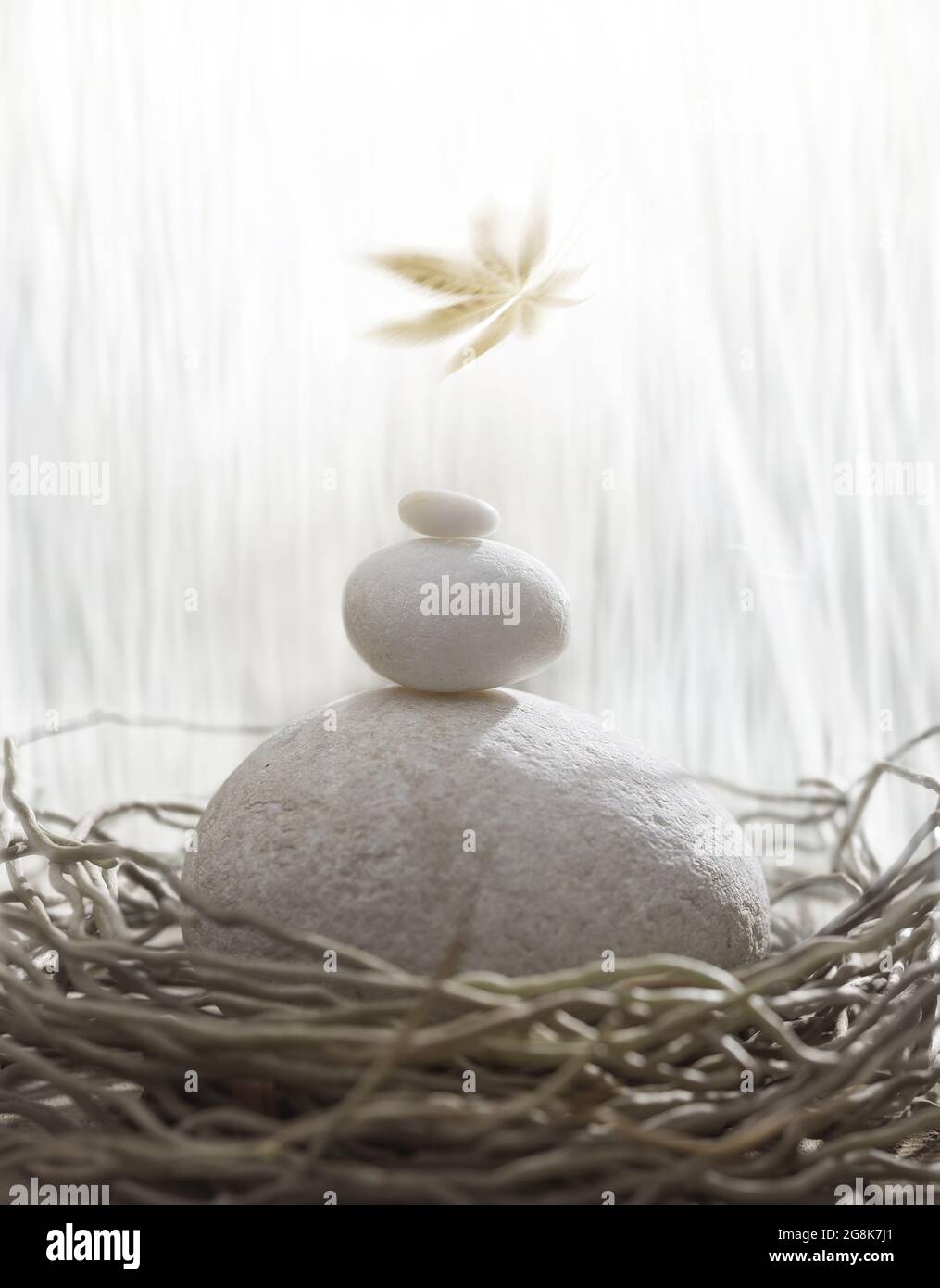 Pile of three white stones isolated in a bird nest Stock Photo - Alamy