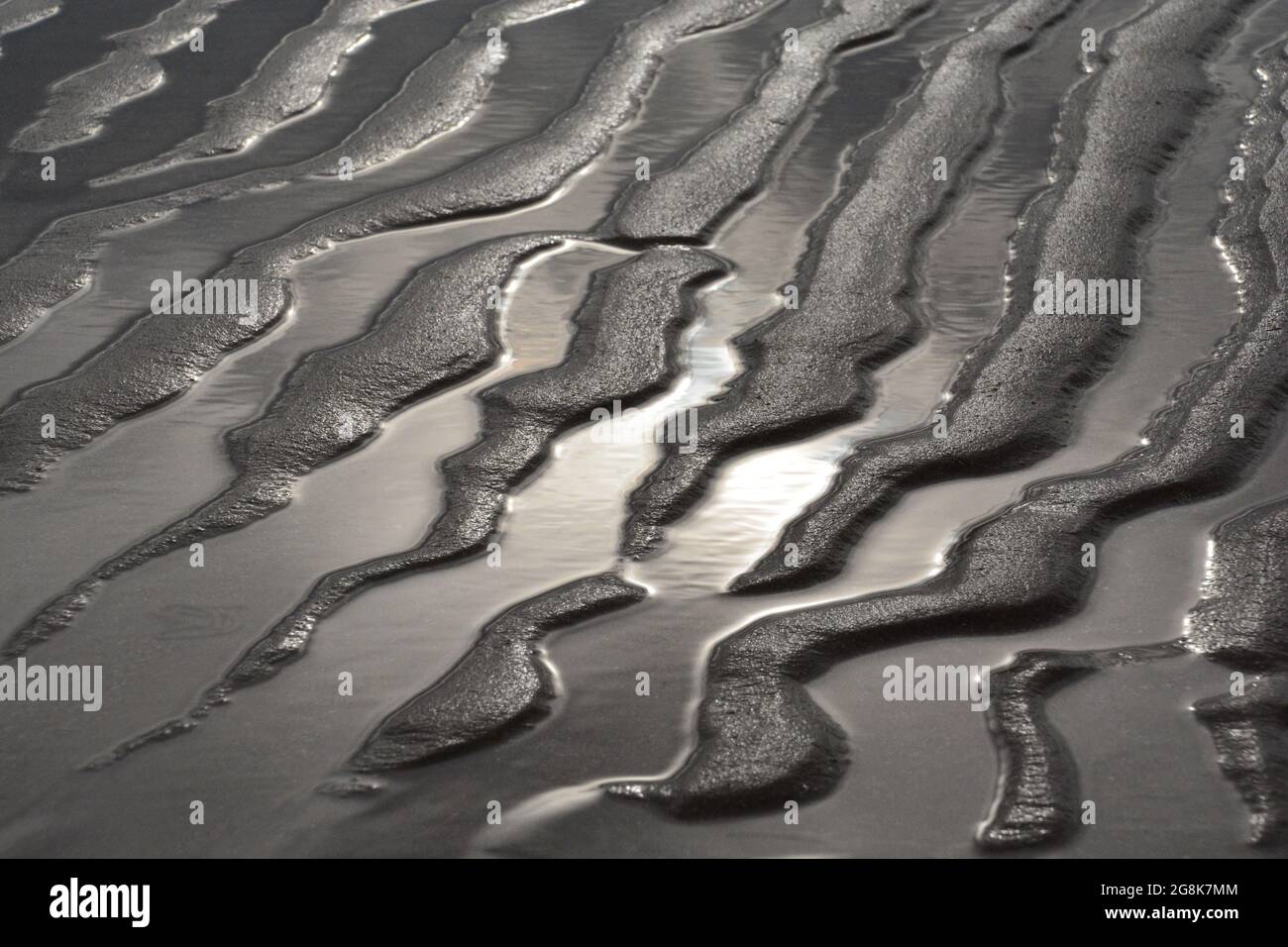 Monochrome shot of the tidal texture of coastal wet mudflat Stock Photo ...