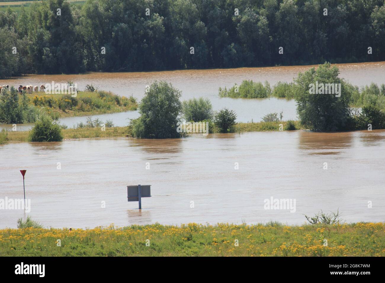 High water level of the Lower Rhine River Stock Photo - Alamy