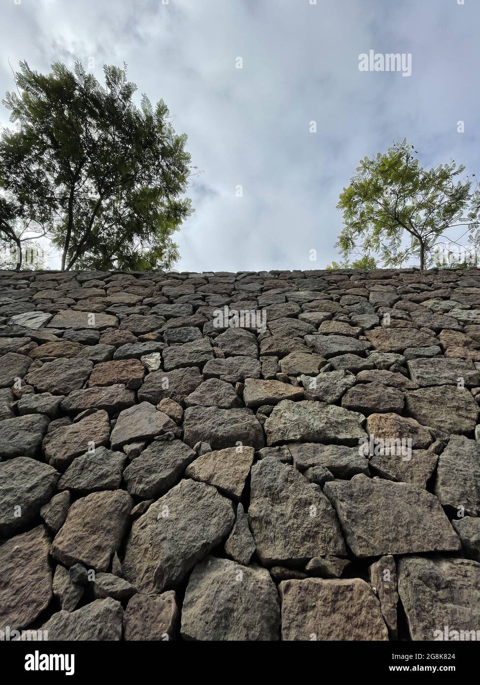 Low angle stone wall texture with trees on the top under a cloudy sky ...