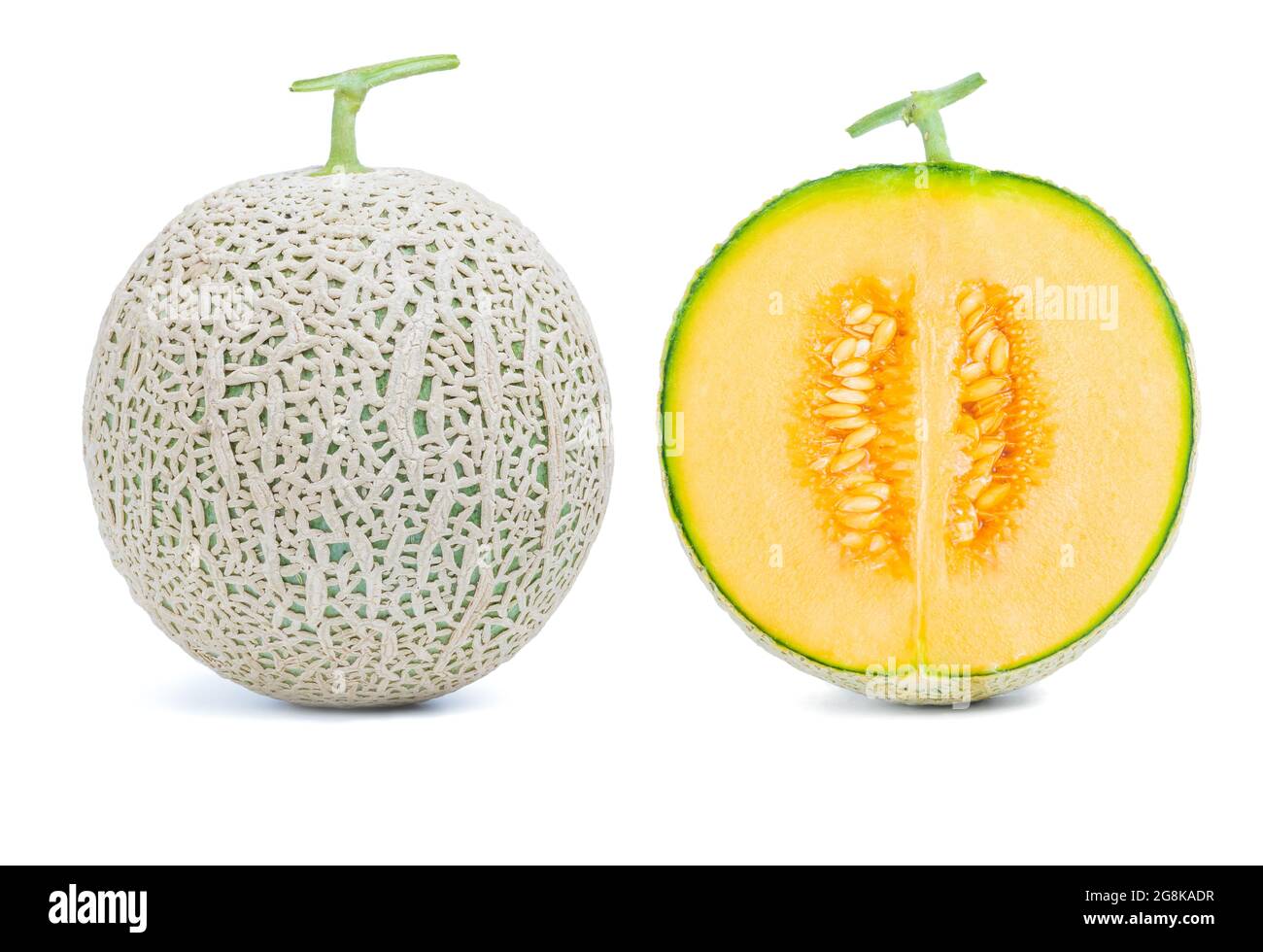 White melon cut in half hi-res stock photography and images - Alamy