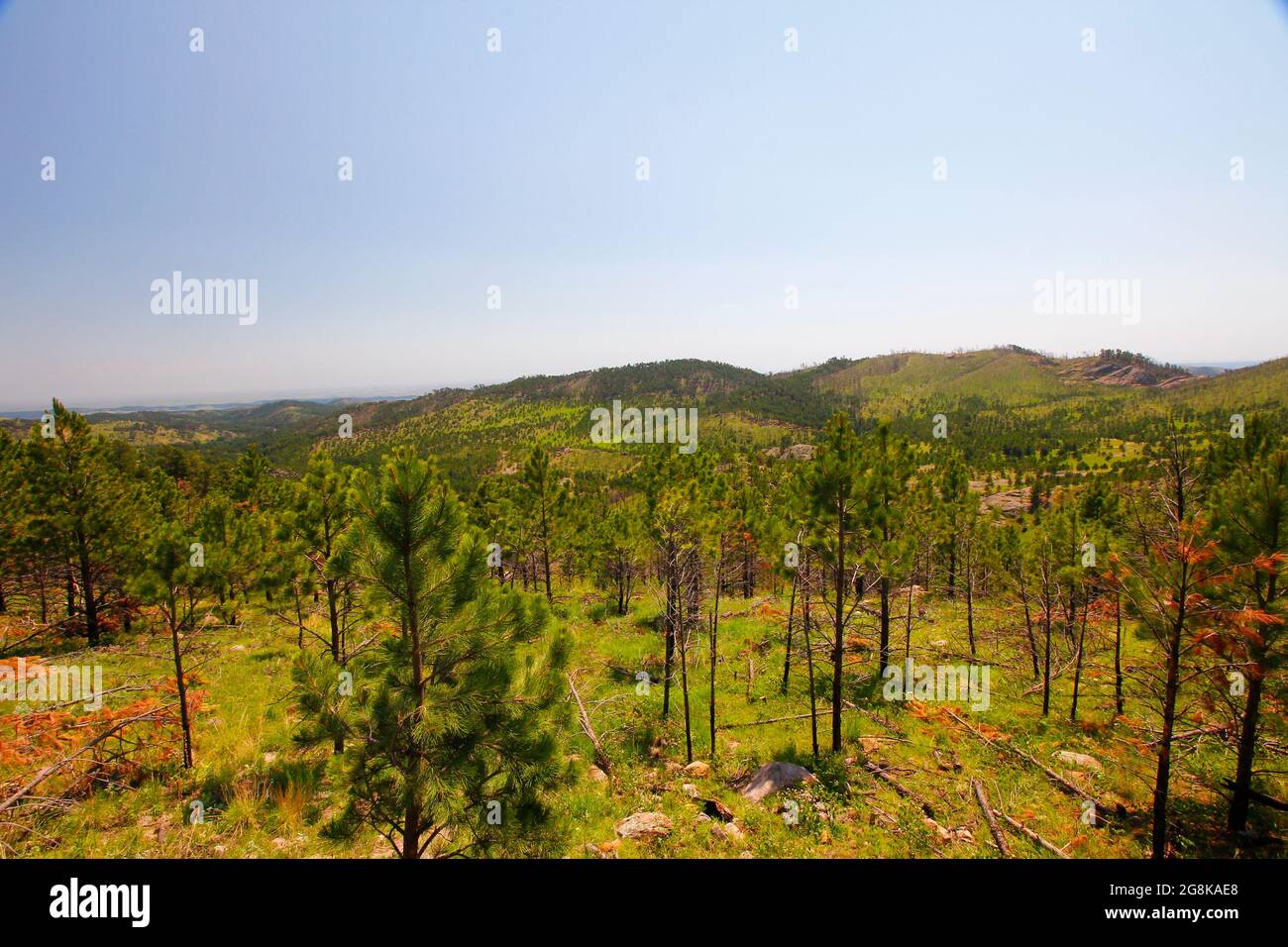 Heddy Draw Overlook, Custer State Park, South Dakota Stock Photo - Alamy