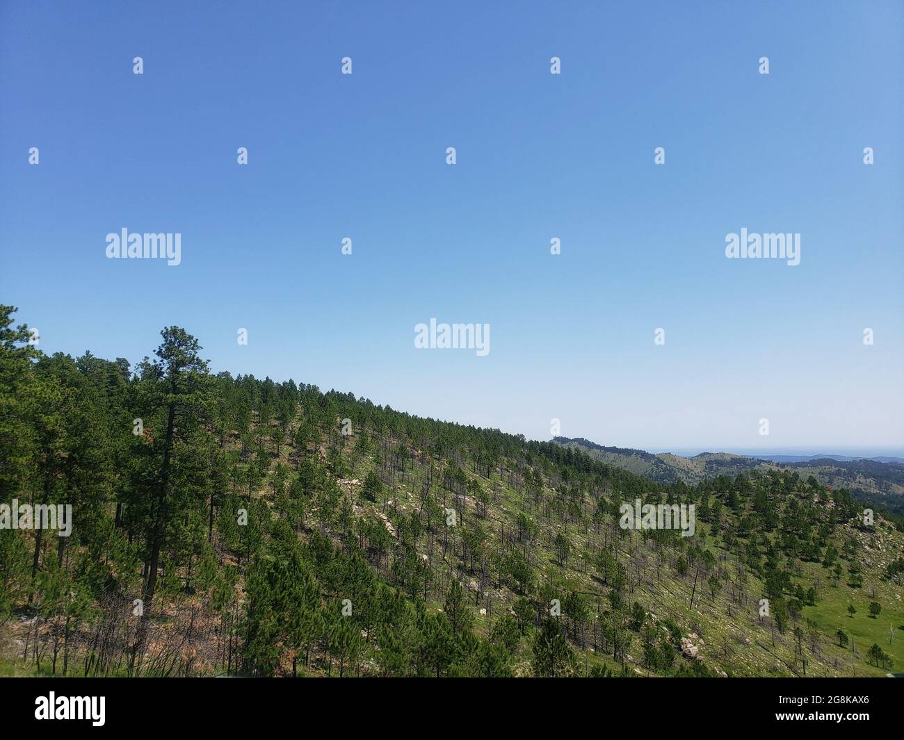 Heddy Draw Overlook, Custer State Park, South Dakota Stock Photo - Alamy