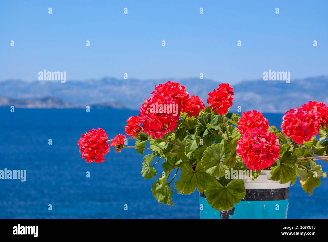 Spring flowers greece island sea hi-res stock photography and images ...