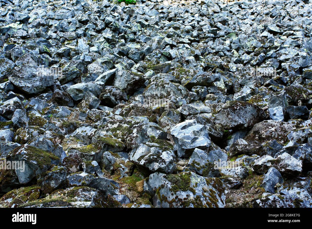 a exterior picture of an Pacific Northwest mountain hillside of granite ...
