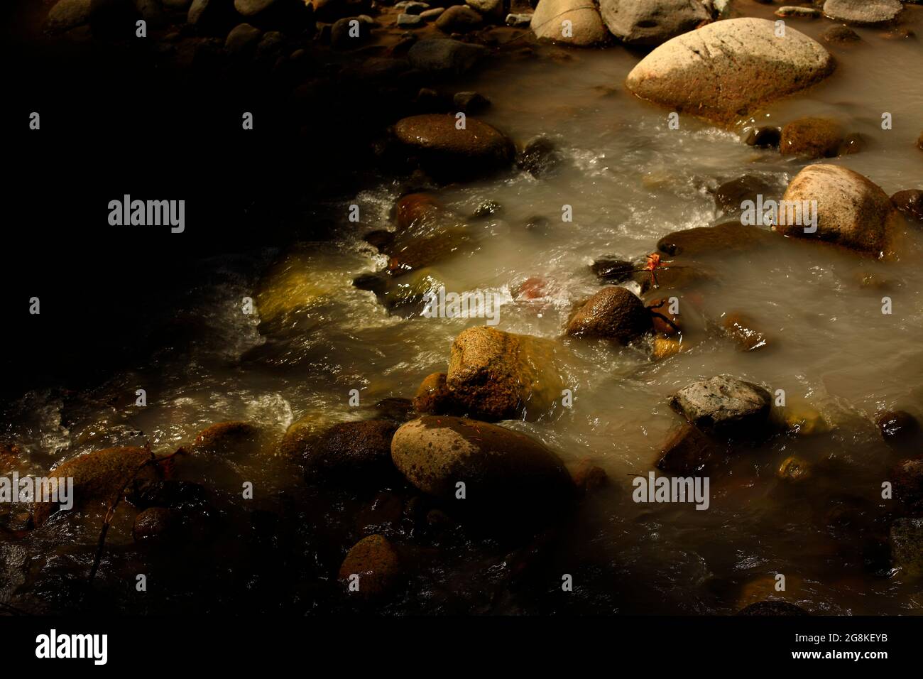 a exterior picture of an Pacific Northwest forest glacial stream Stock ...